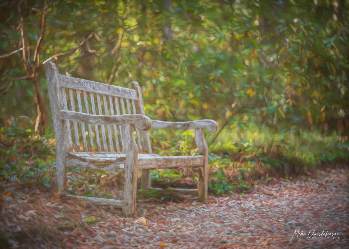 Bench in the Woods | MLCreations Photography